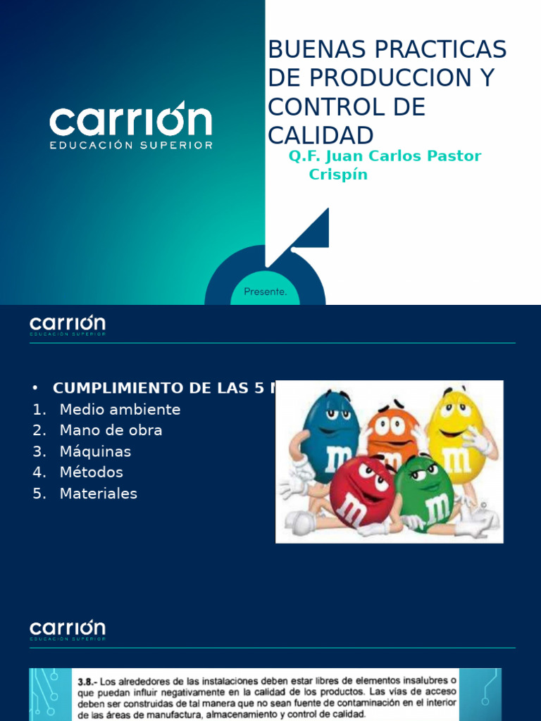 BPF y Control de Calidad | PDF