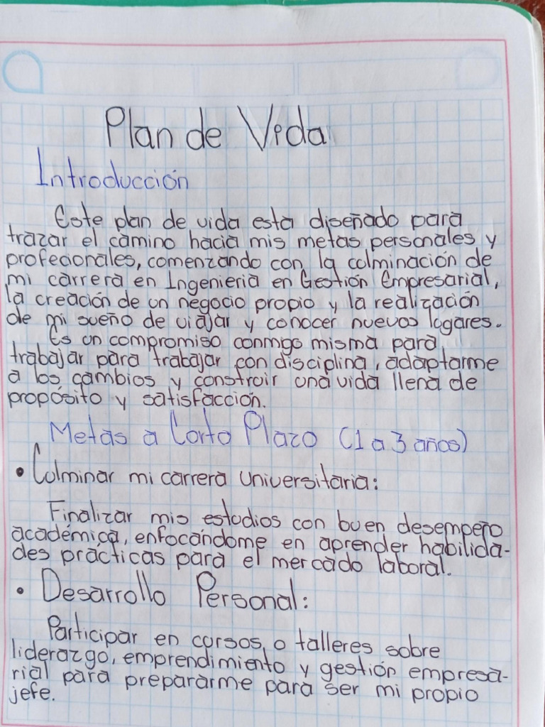 plan de vida.ismari | PDF