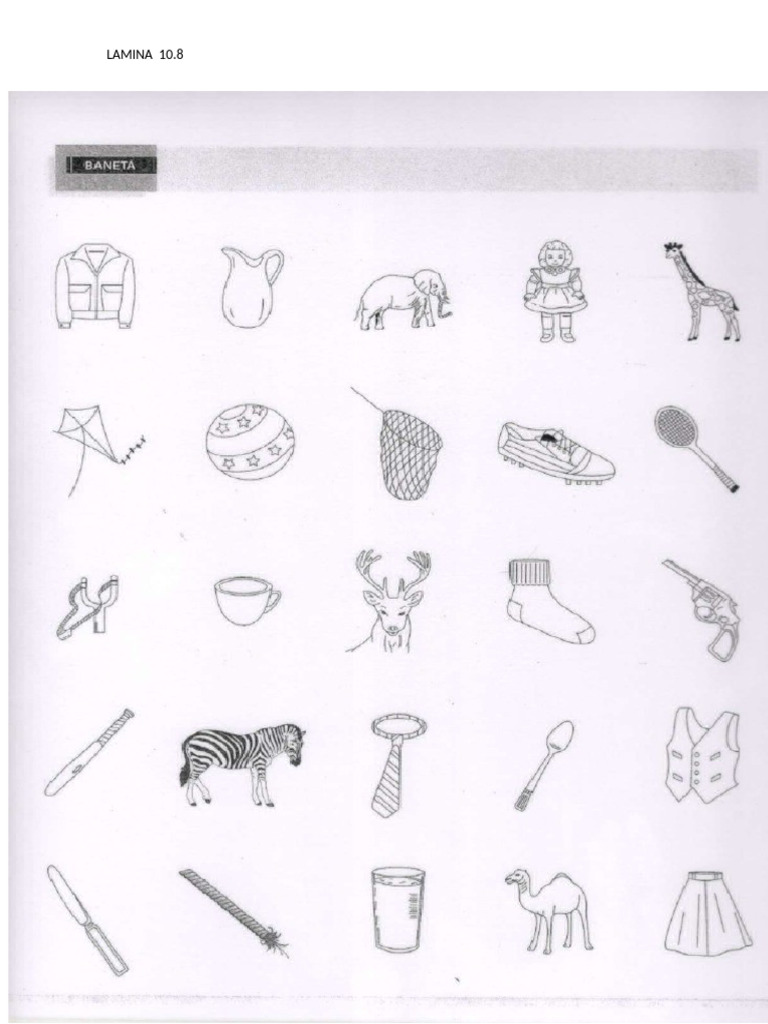 Lamina 10.8 | PDF