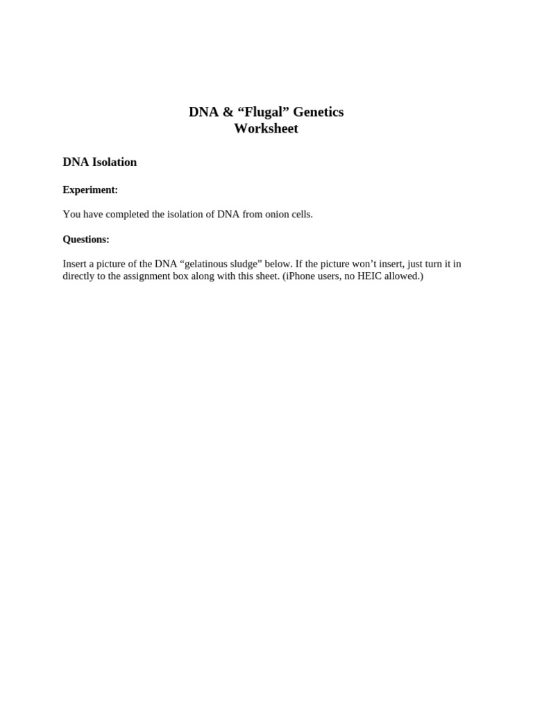 Genetics Worksheet 21 - Word | PDF | Dominance (Genetics) | Genotype
