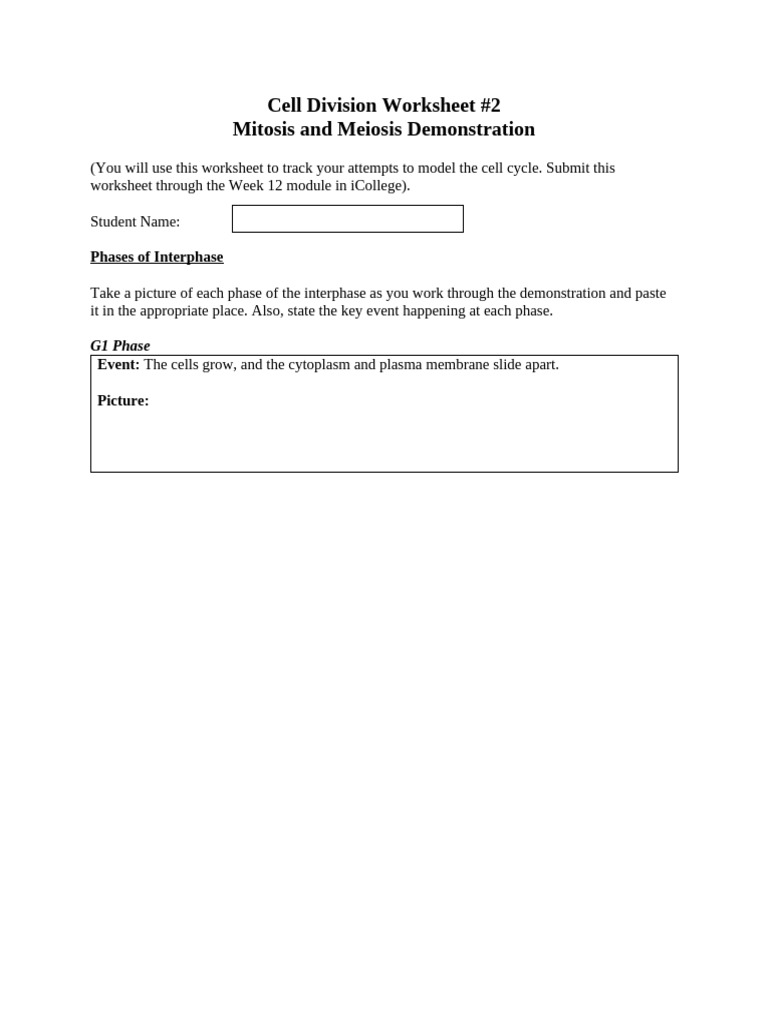 Cell Division Worksheet: Mitosis & Meiosis | PDF