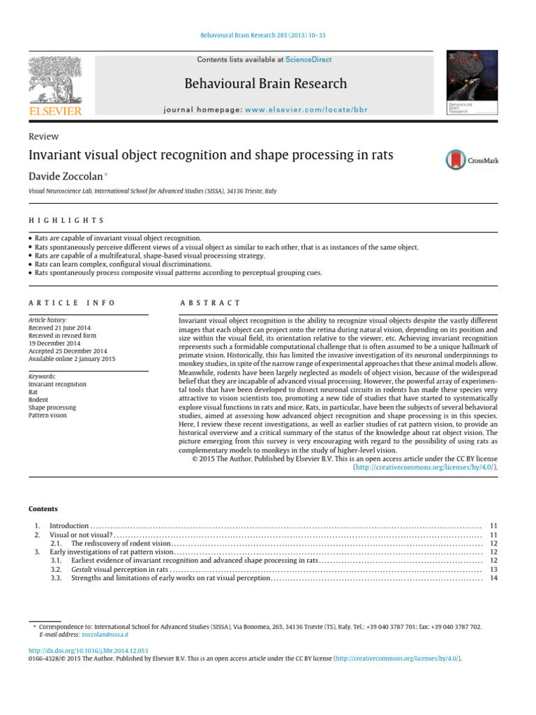 1 s2.0 S0166432814008560 Main | PDF | Visual Perception | Visual System