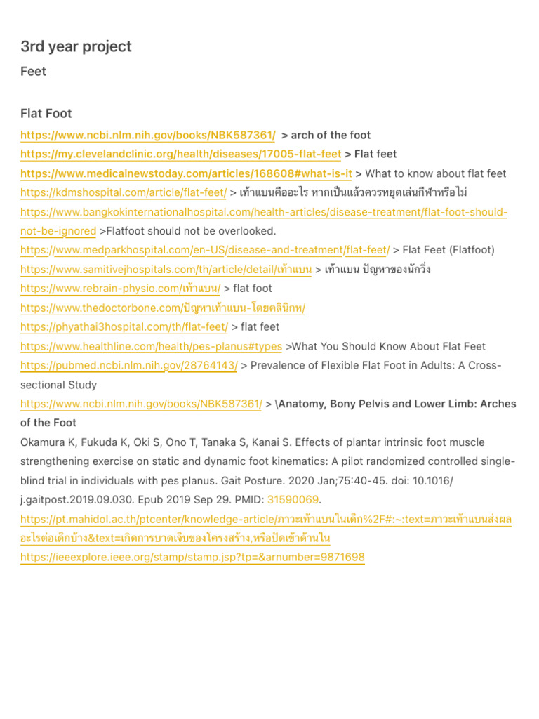 3rd Year Project | PDF