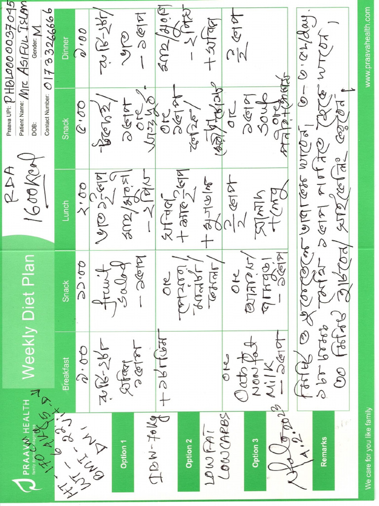 Asif Diet Plan | PDF