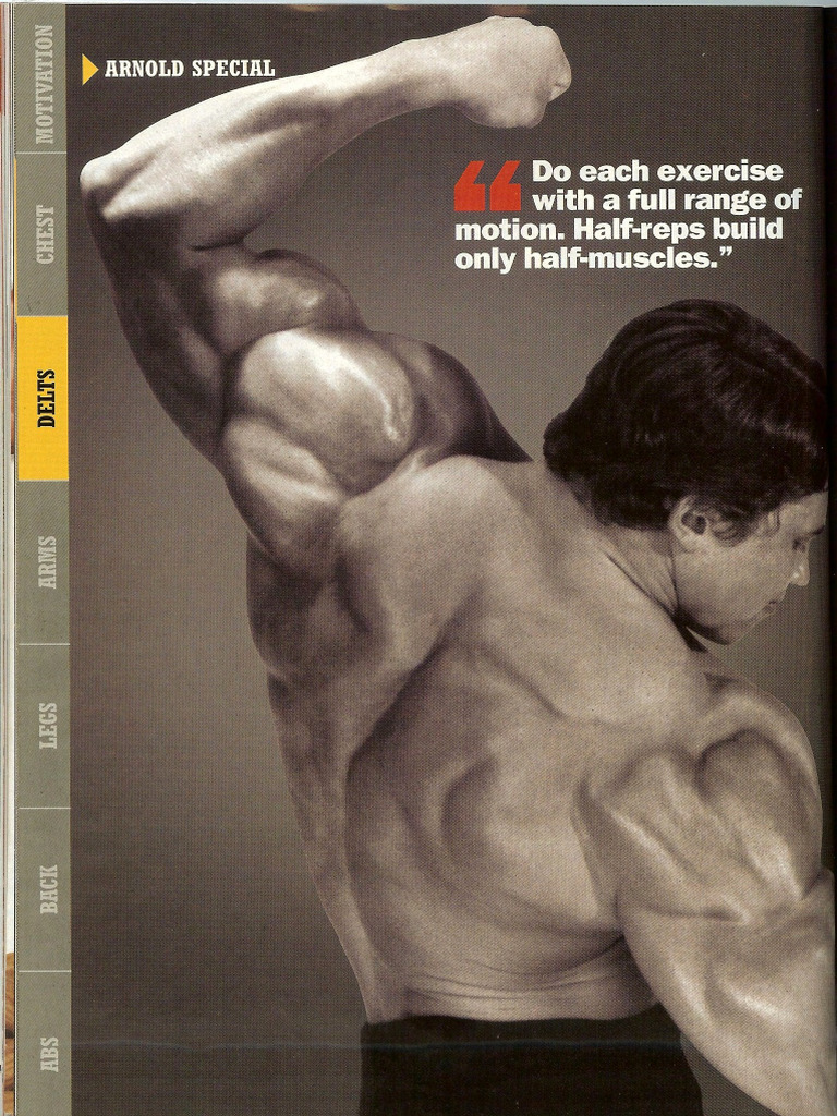 Arnold Training - Delts - Arms | PDF