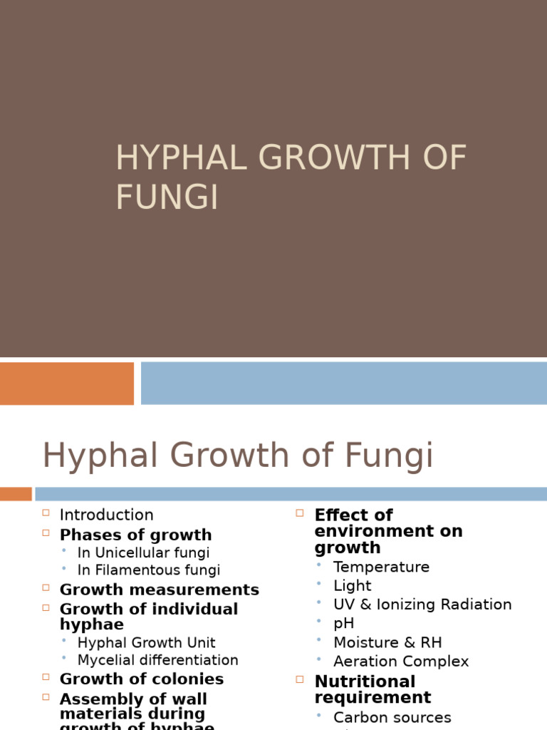 Growth of hyphae_1 | PDF | Fungus | Organisms
