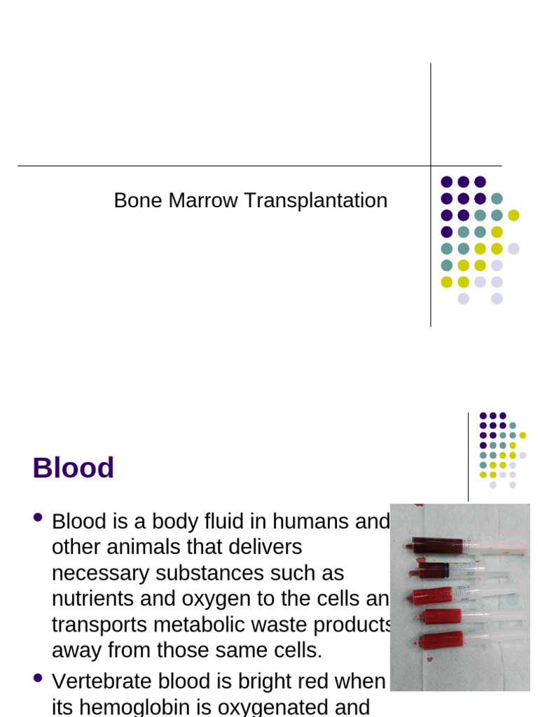 Bone Marrow Transplantation | PDF | Hematopoietic Stem Cell ...