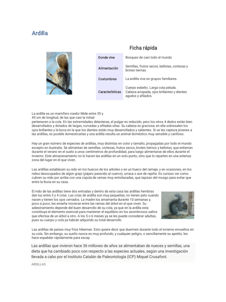 Ardilla | PDF | Ardilla | Evolución