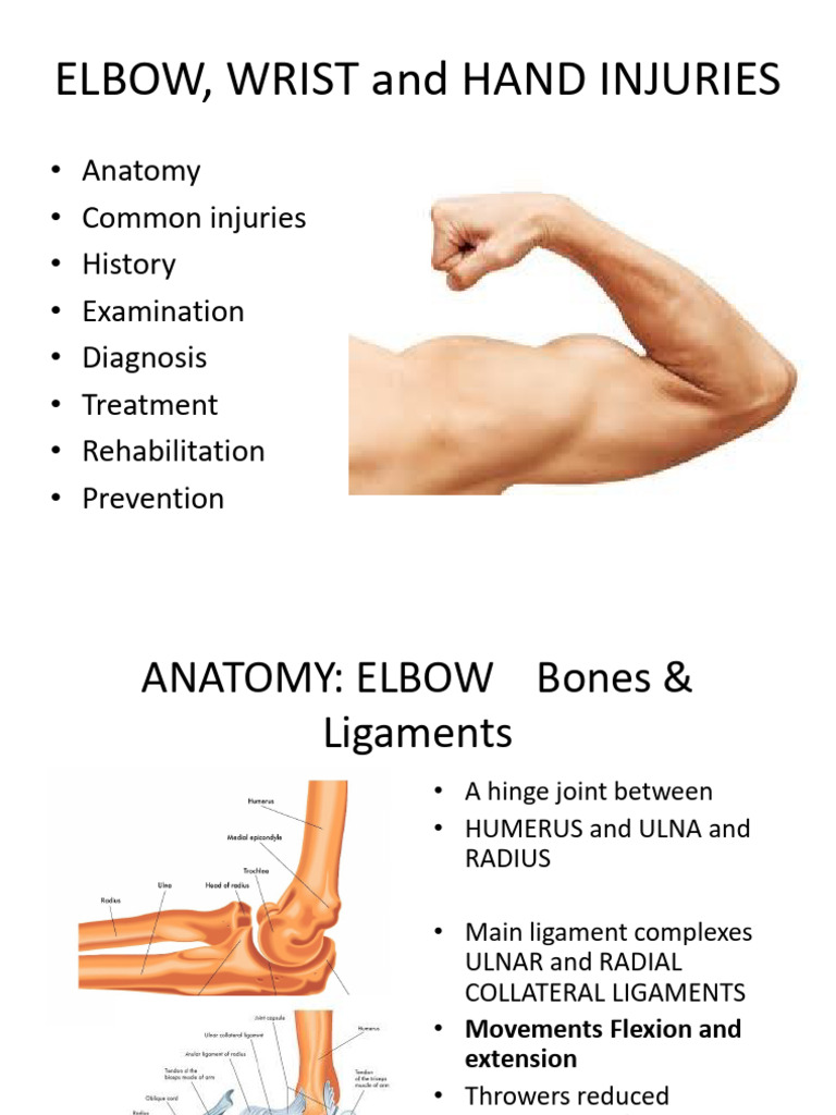 Elbow Wrist Hand | PDF | Elbow | Hand