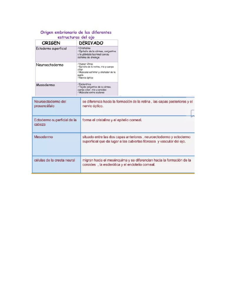 Derivados Del Ectodermo | PDF