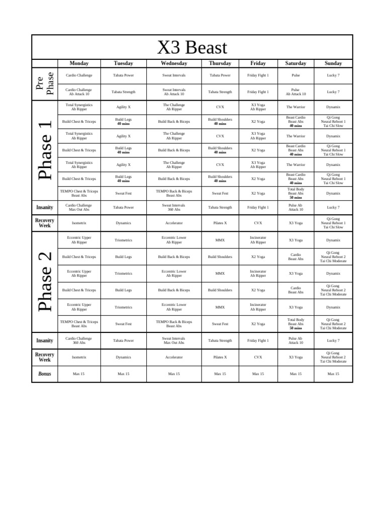 X3 Beast | PDF | Physical Exercise | Physical Fitness