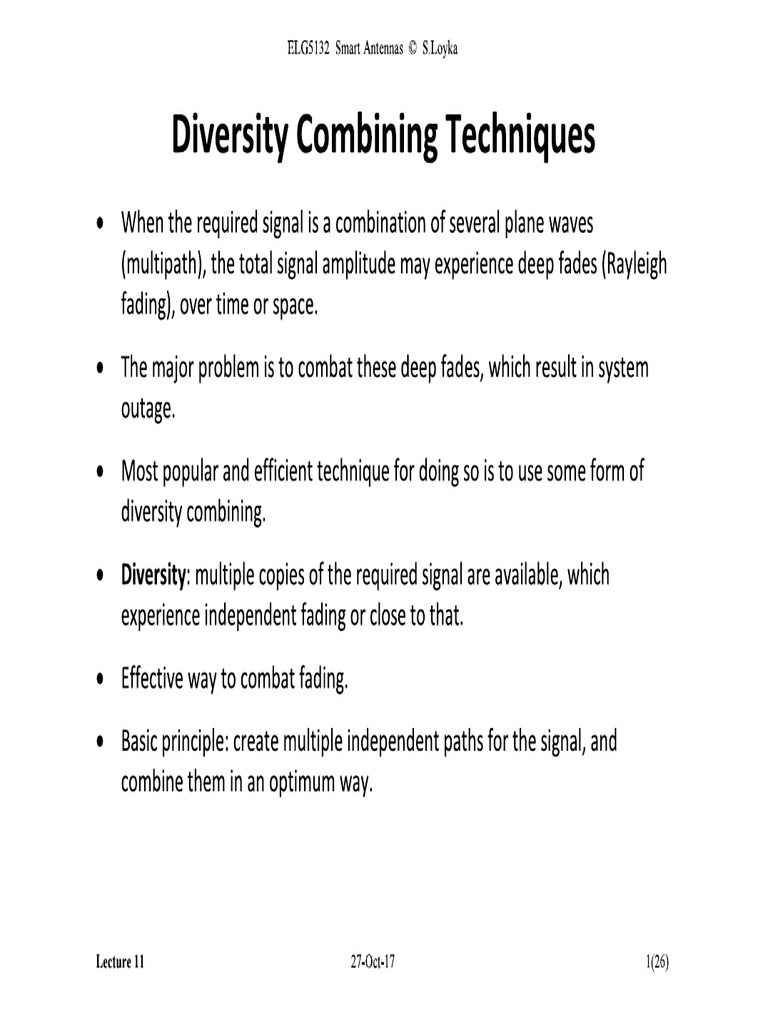 Diversity | PDF