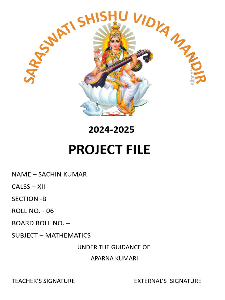 Math Project: Class XII Report | PDF