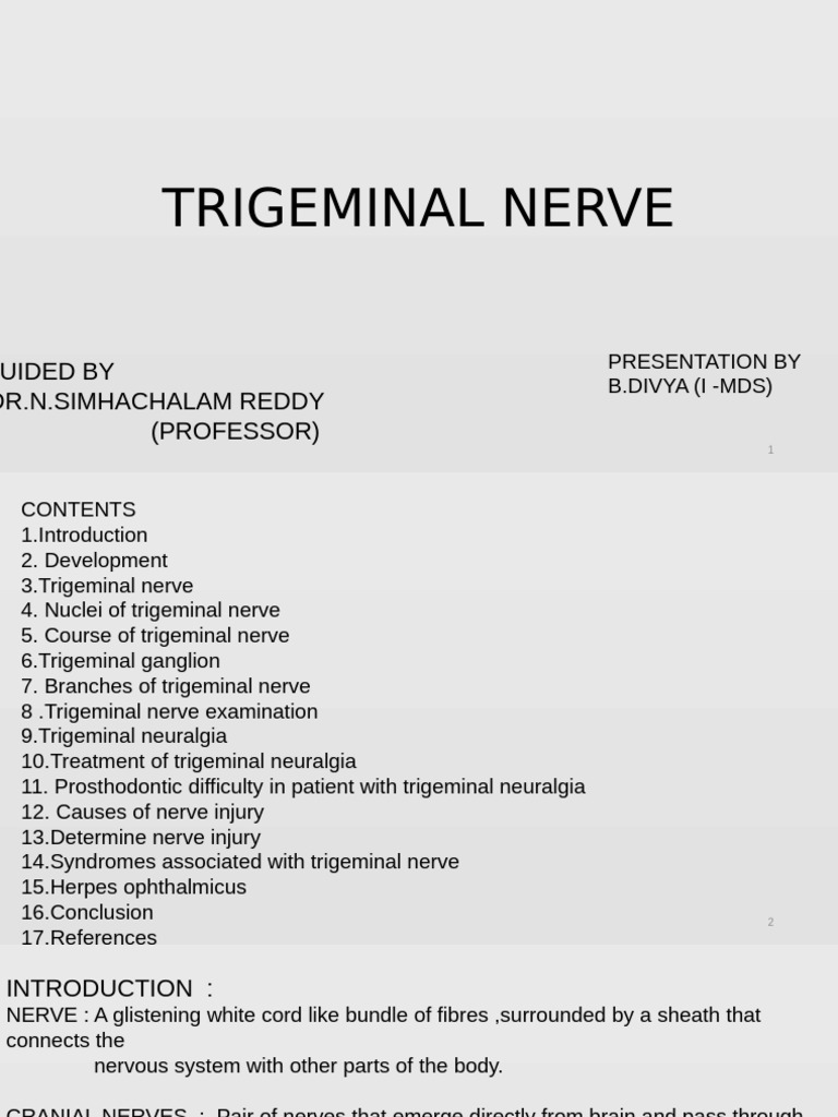 Trigeminal Nerve 23-12-23 | PDF | Human Nose | Nervous System