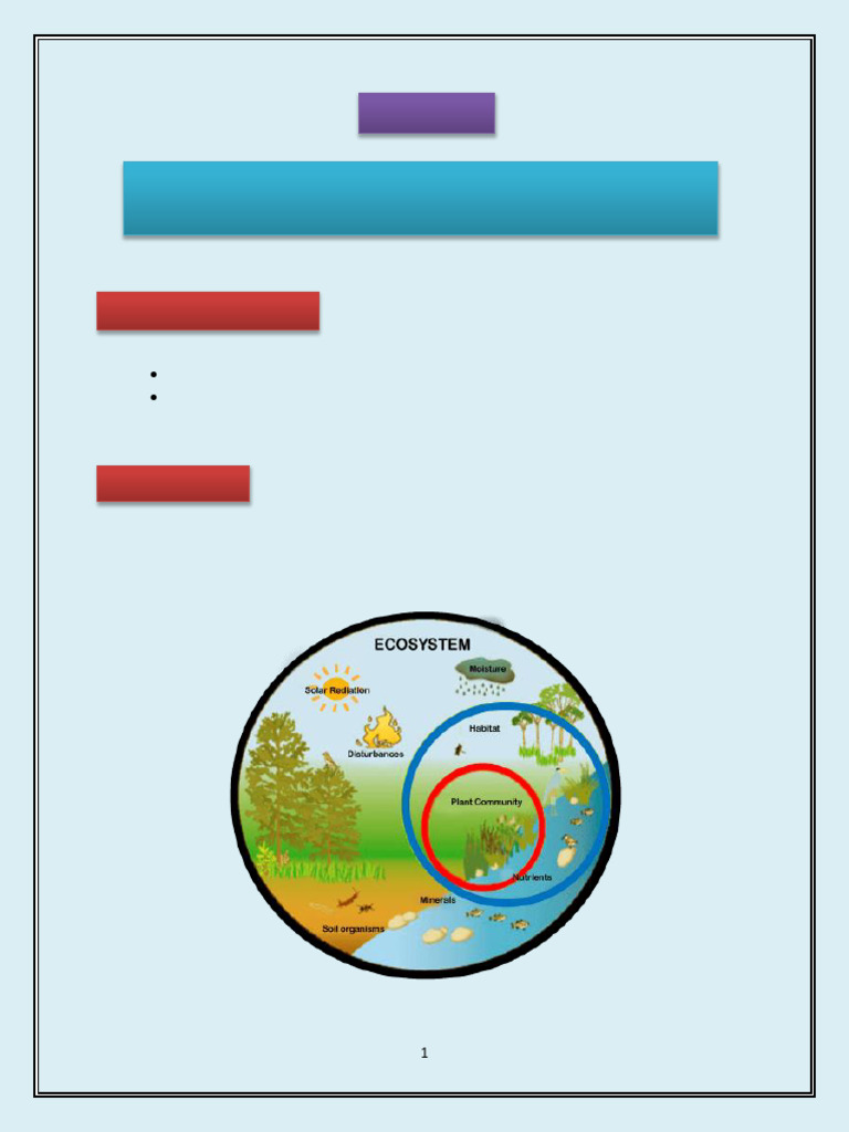 Protecting Ecosystem services | PDF | Agriculture | Ecosystem