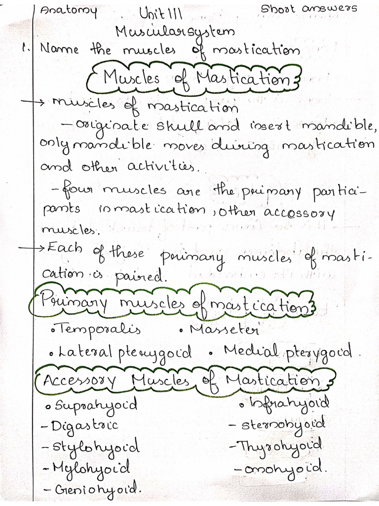 Muscular System Short Answers | PDF