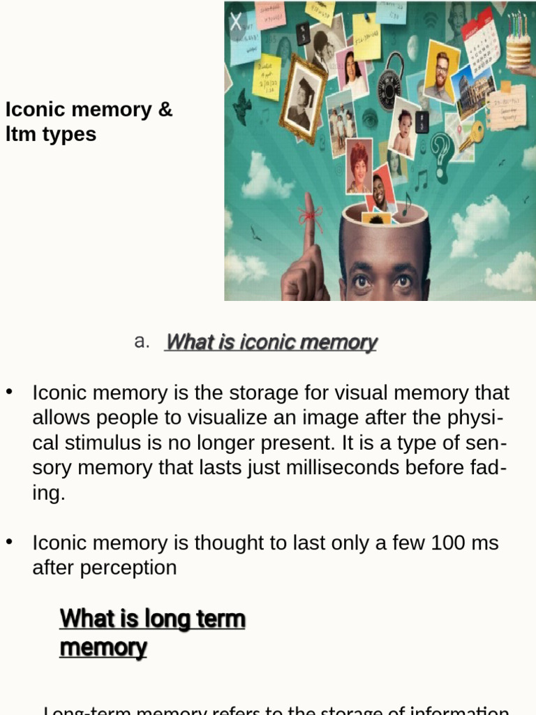 Iconic Memory &Ltm Memory | PDF