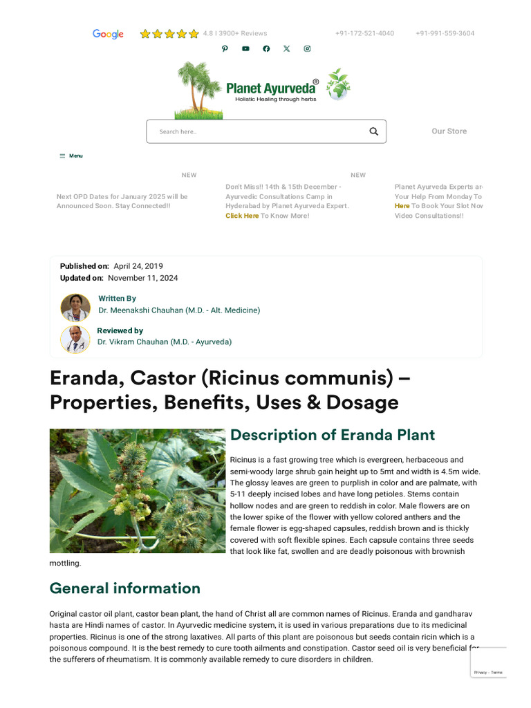 Eranda (Ricinus Communis) - Properties, Benefits, Uses & Dosage | PDF