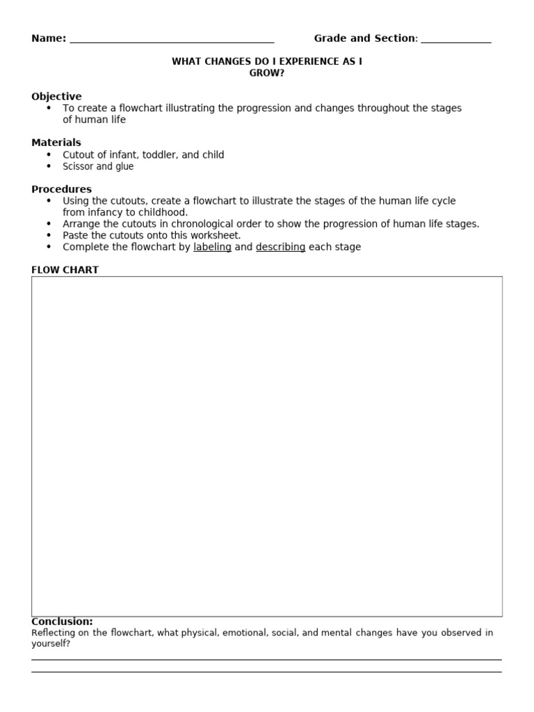 Human Life Cycle Activity (1) | PDF