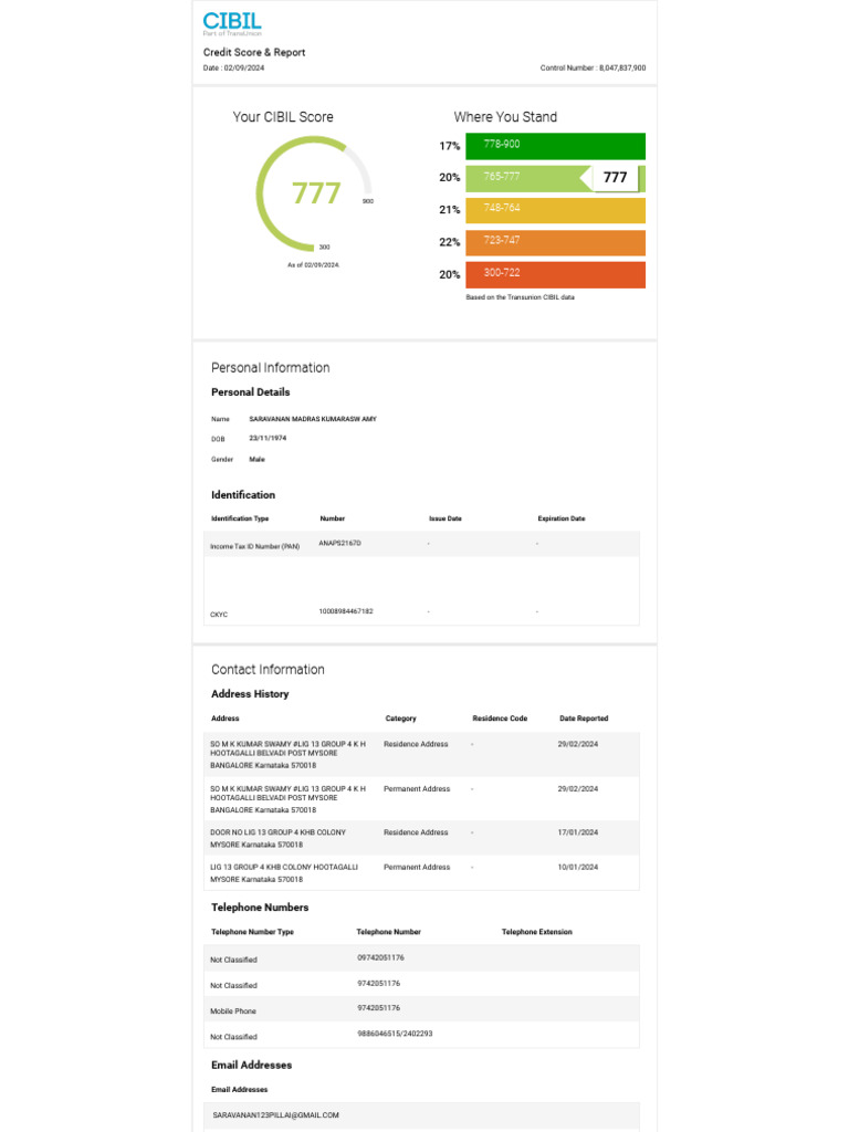 CIBIL Credit Report Overview | PDF | Finance & Money Management | Credit