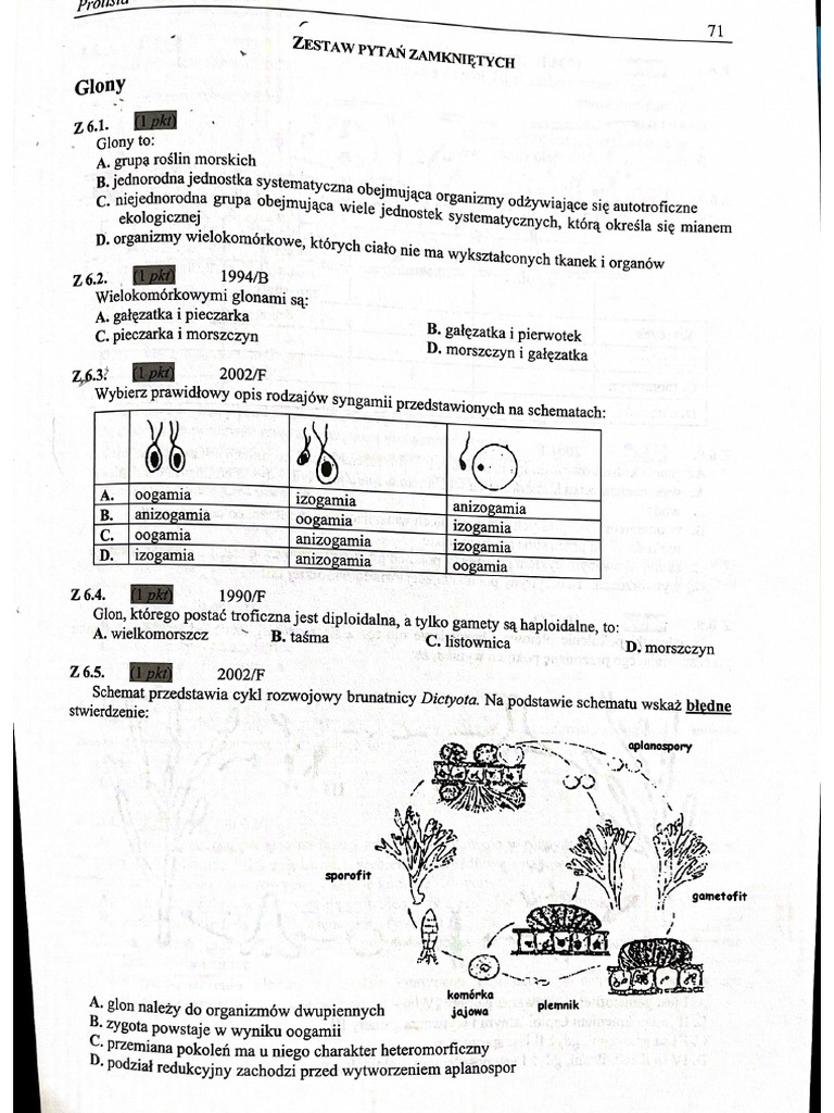 Document 10122024 | PDF