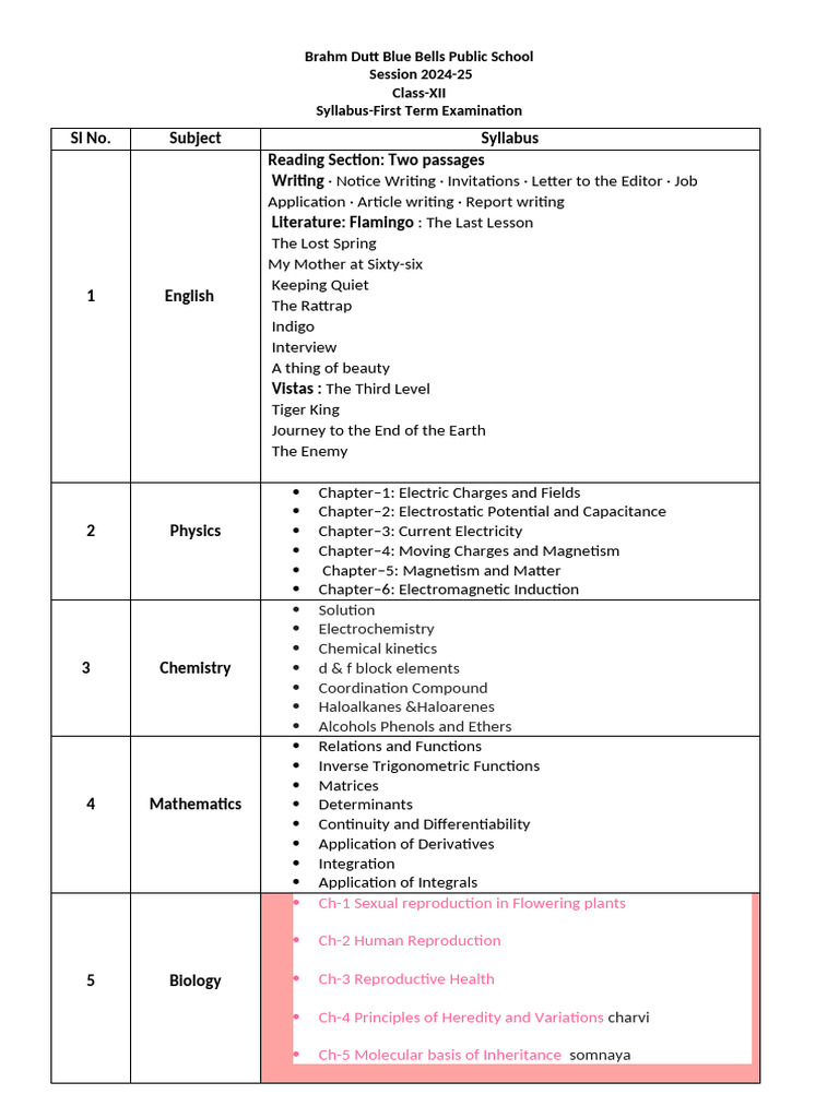 Class XII Syllabus | PDF | South Asia