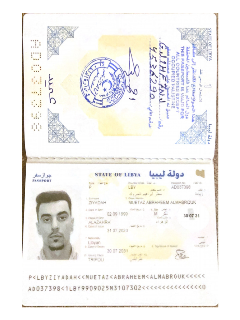 This Passport Is Valid For | PDF