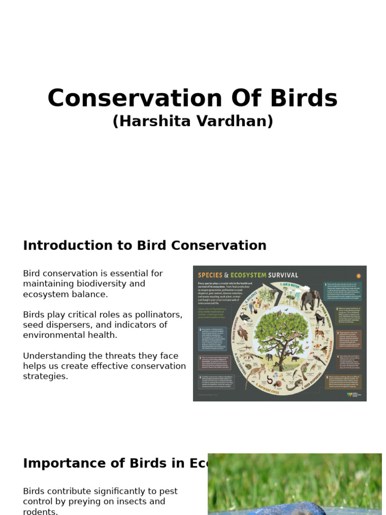Importance of Bird Conservation | PDF | Conservation Biology | Birds