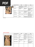 MRI Wrist Planning and Protocols | PDF | Magnetic Resonance Imaging | Hand