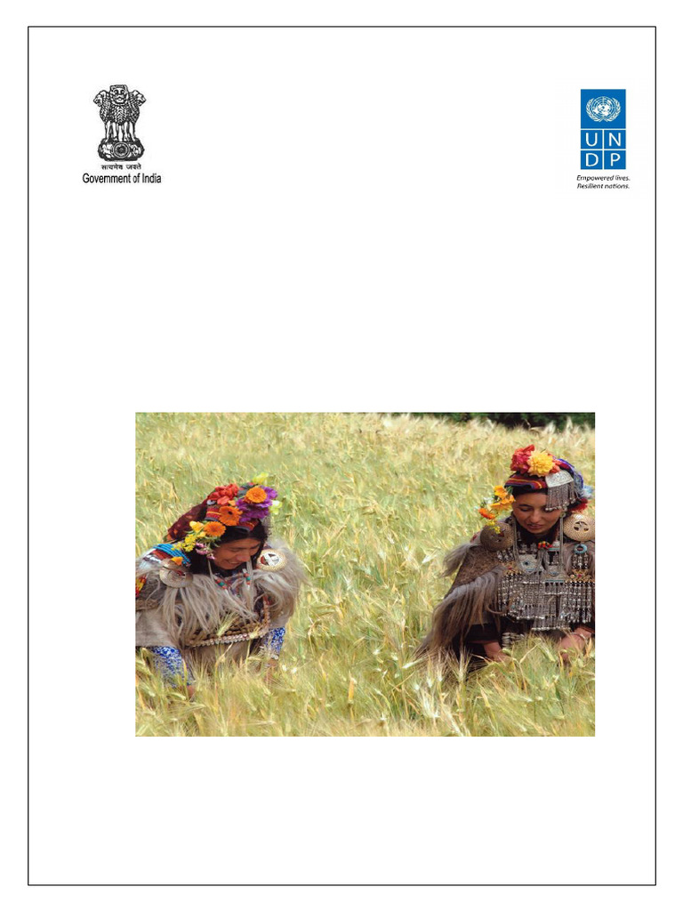 Tribal Development Progress Report 2020 | PDF