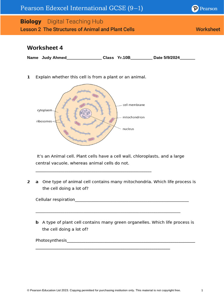IG Biology Lesson2 Worksheet 04 | PDF | Cell (Biology) | Microscopy