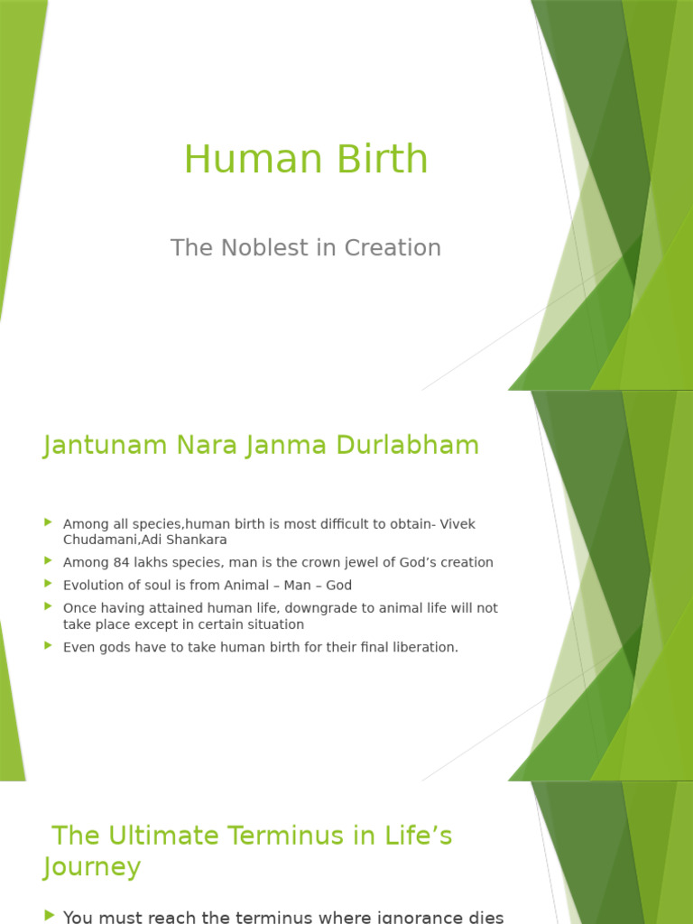 Human Birth | PDF