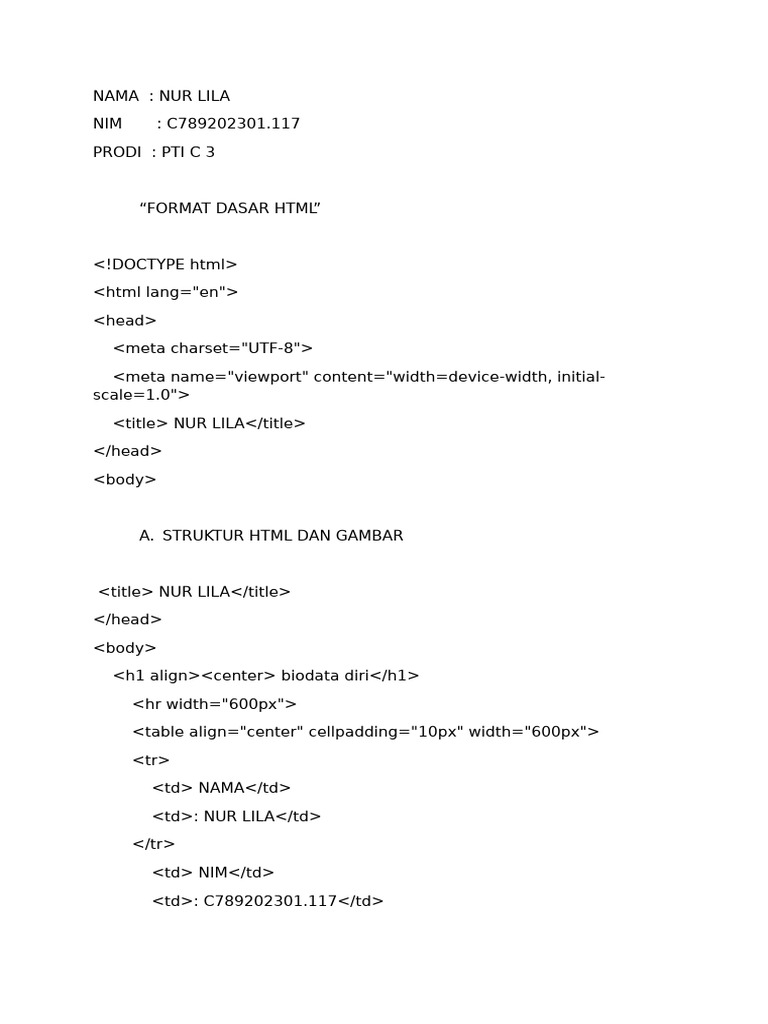 Coding HTML Nur Lila | PDF