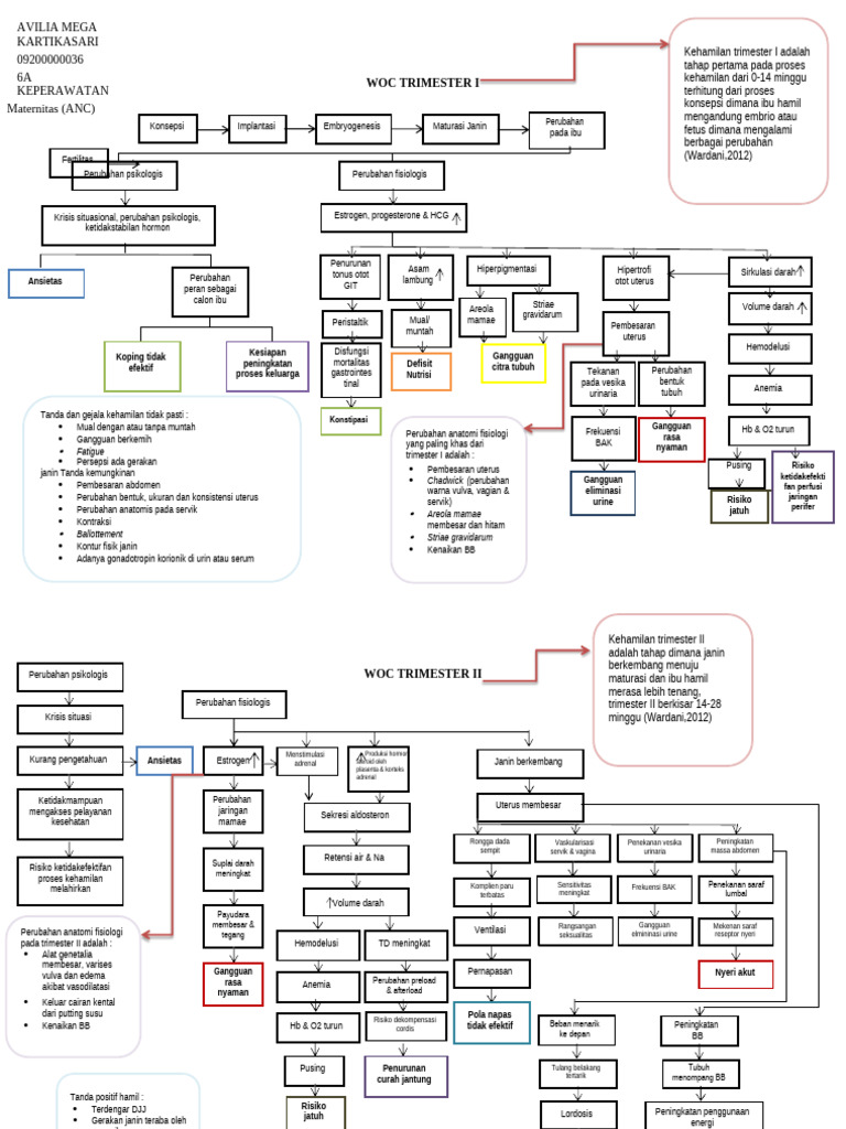 WOC ANC AVILIA MEGA | PDF