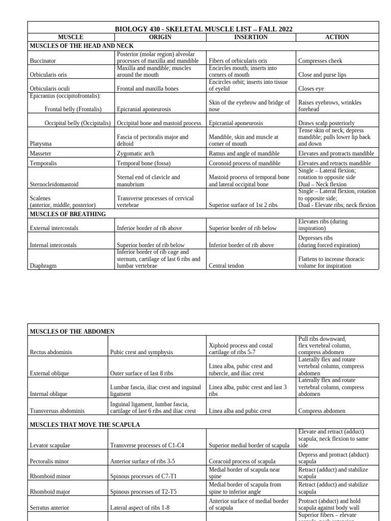 Biol 430 Muscles List f2022 | PDF | Arm | Knee