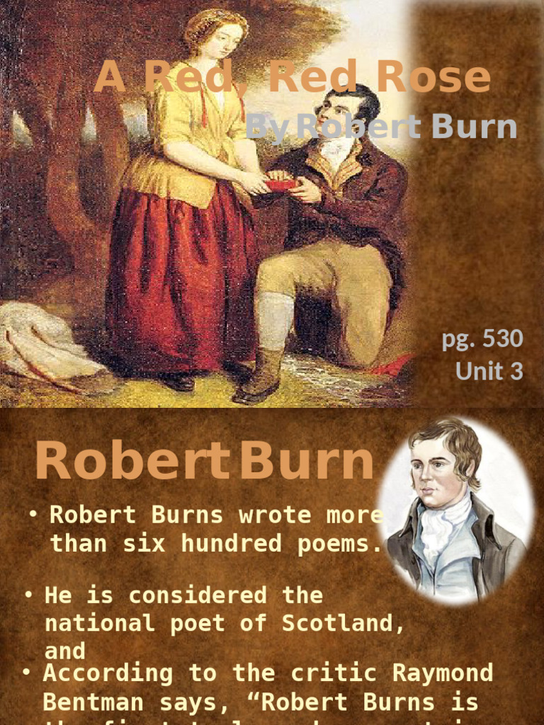 A Red Red Rose - Lesson Outline | PDF | Poetry | Robert Burns