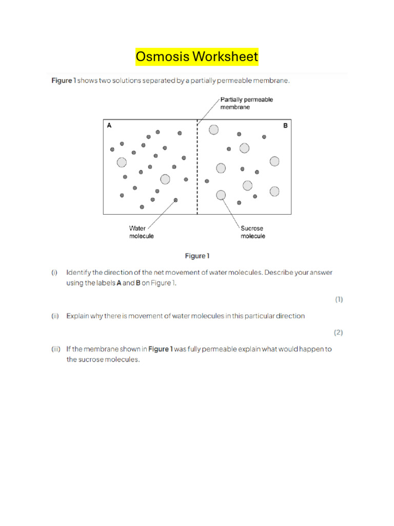 Osmosis Worksheet for Students | PDF
