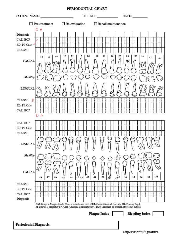 perio-chart-form | PDF
