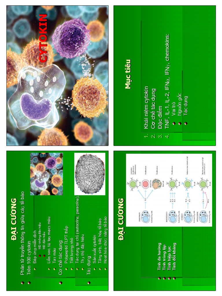 Cytokin | PDF