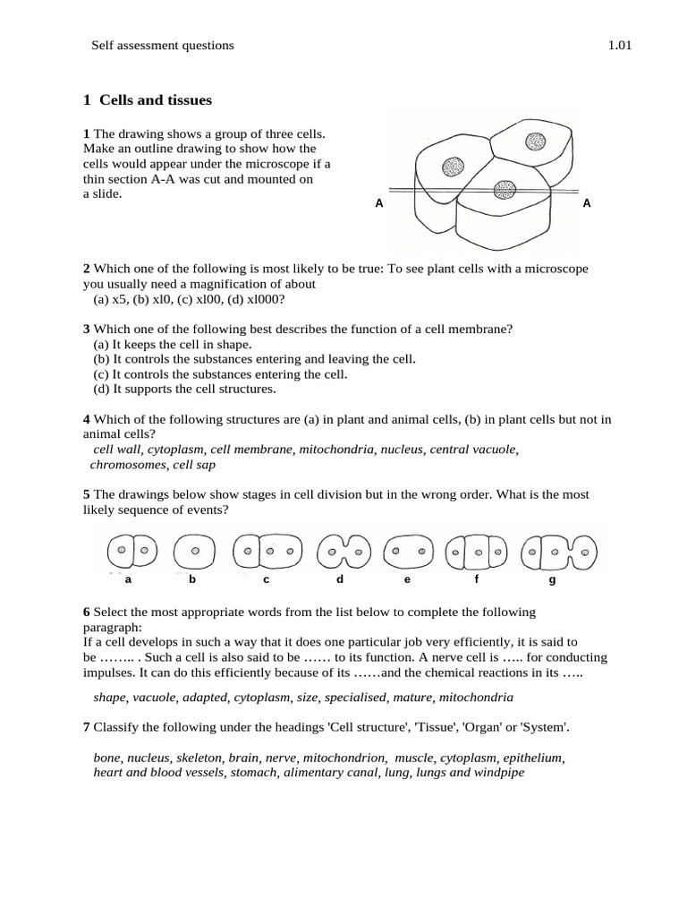 cells-tissues-questions | PDF