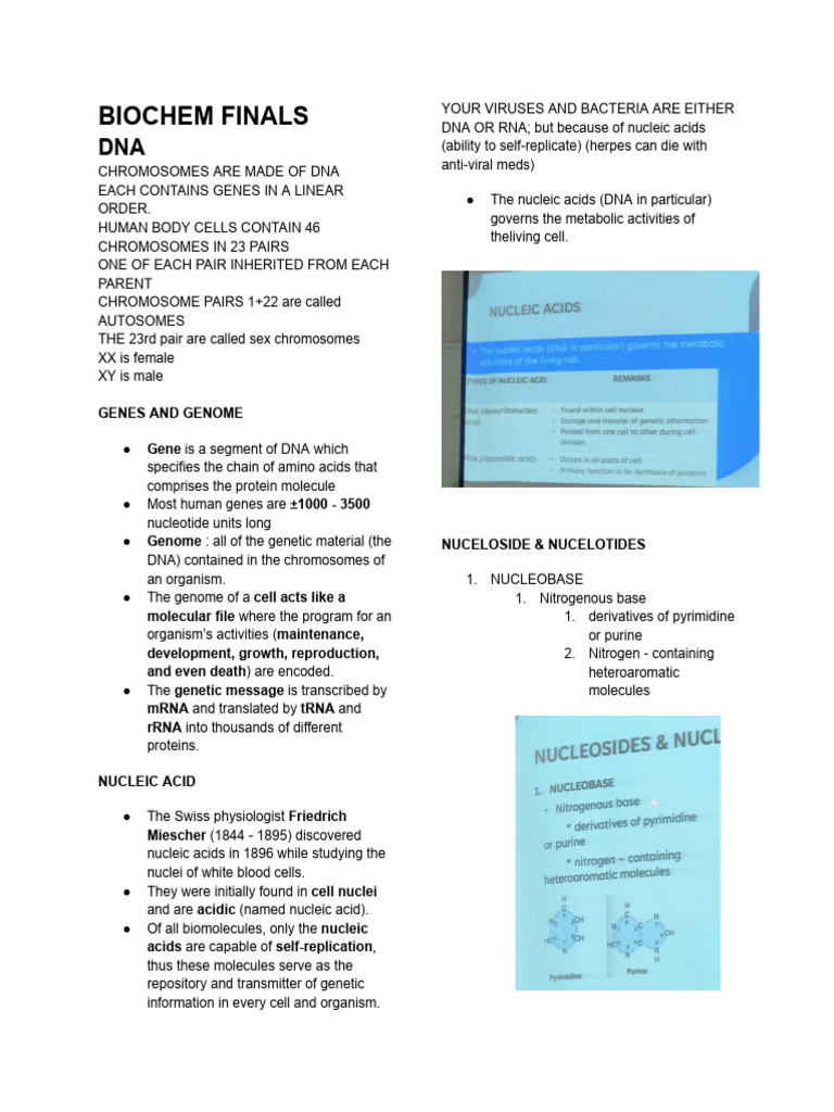 Biochem Finals | PDF | Nucleotides | Dna