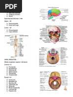 Human Skeleton All Bones Chart | PDF | Anatomy | Musculoskeletal System
