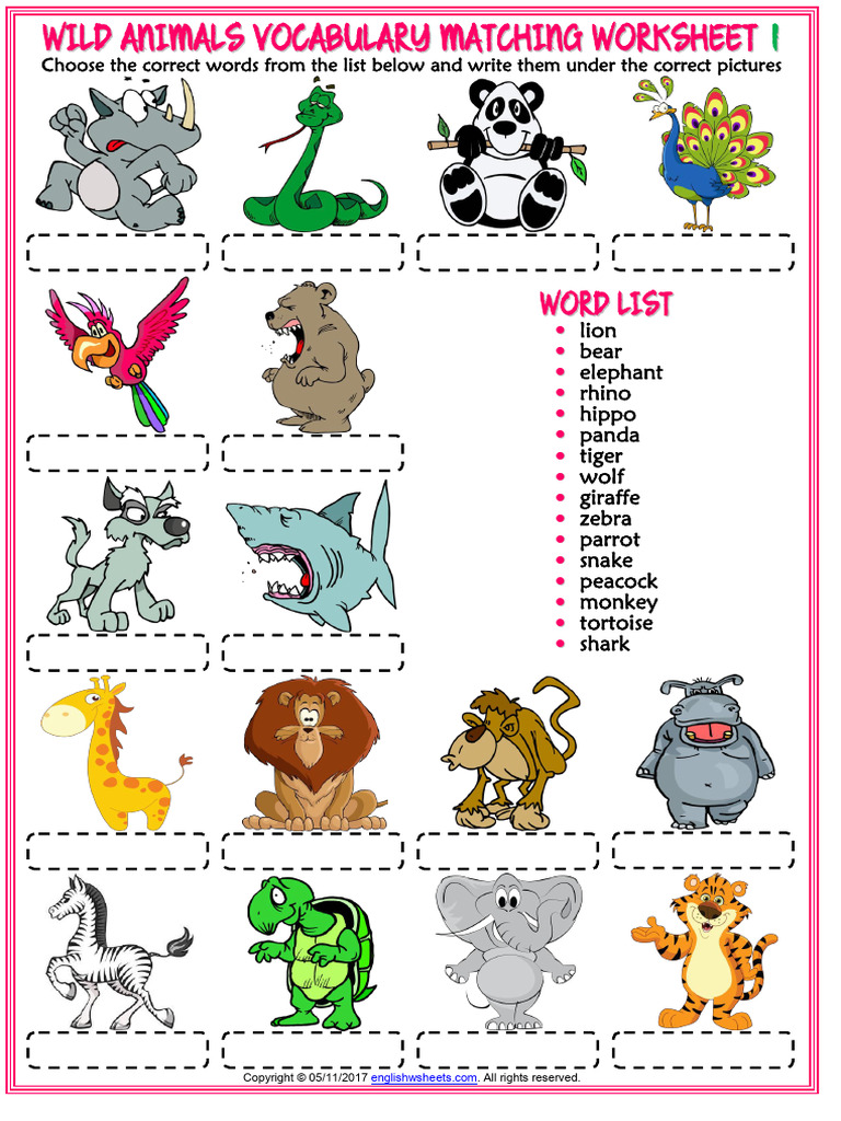 Animals Vocabulary Matching Exercise | PDF
