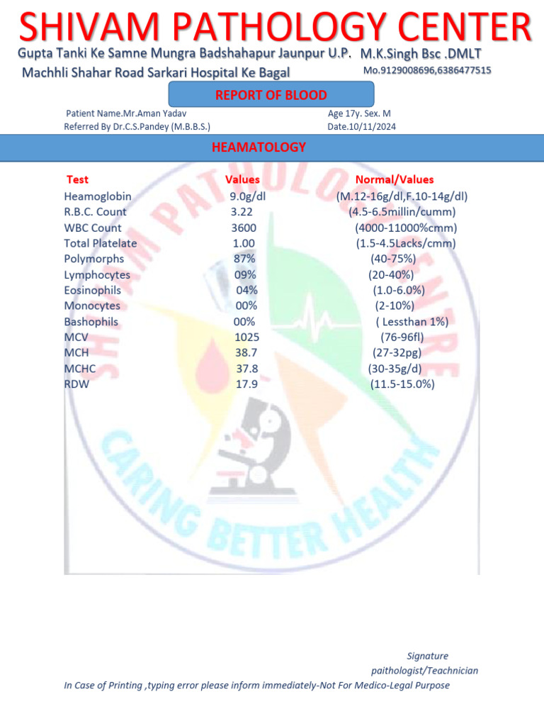 Blood Hematology Report for Mr. Yadav | PDF