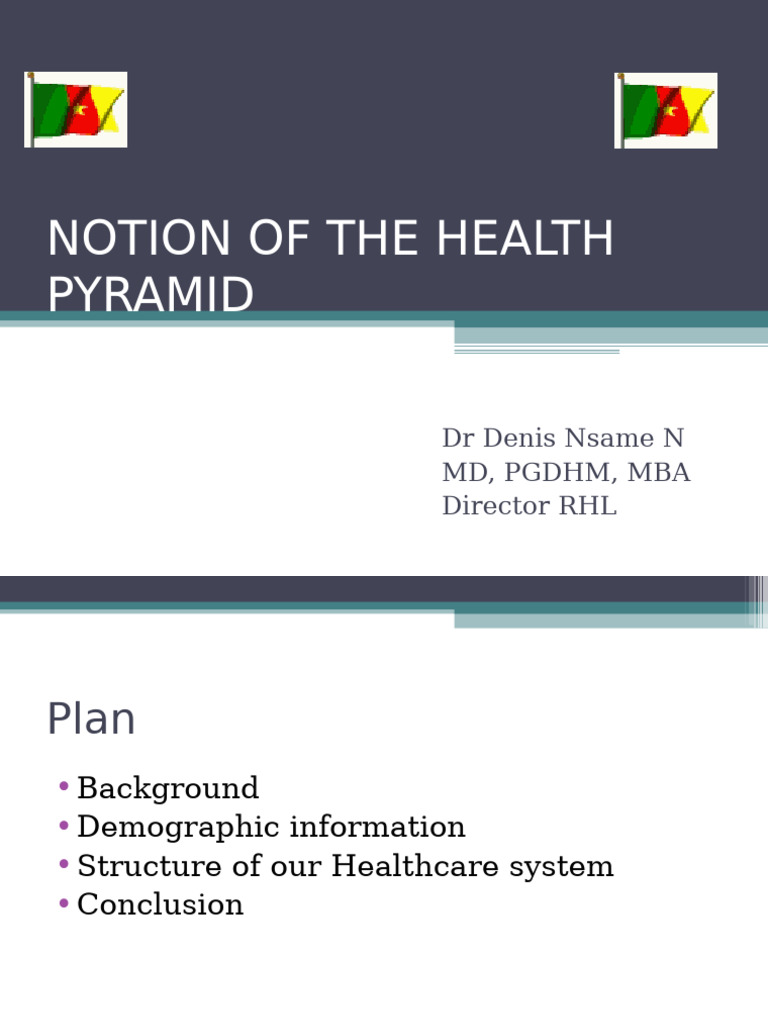 Health pyramid | PDF | Economies | Social Programs