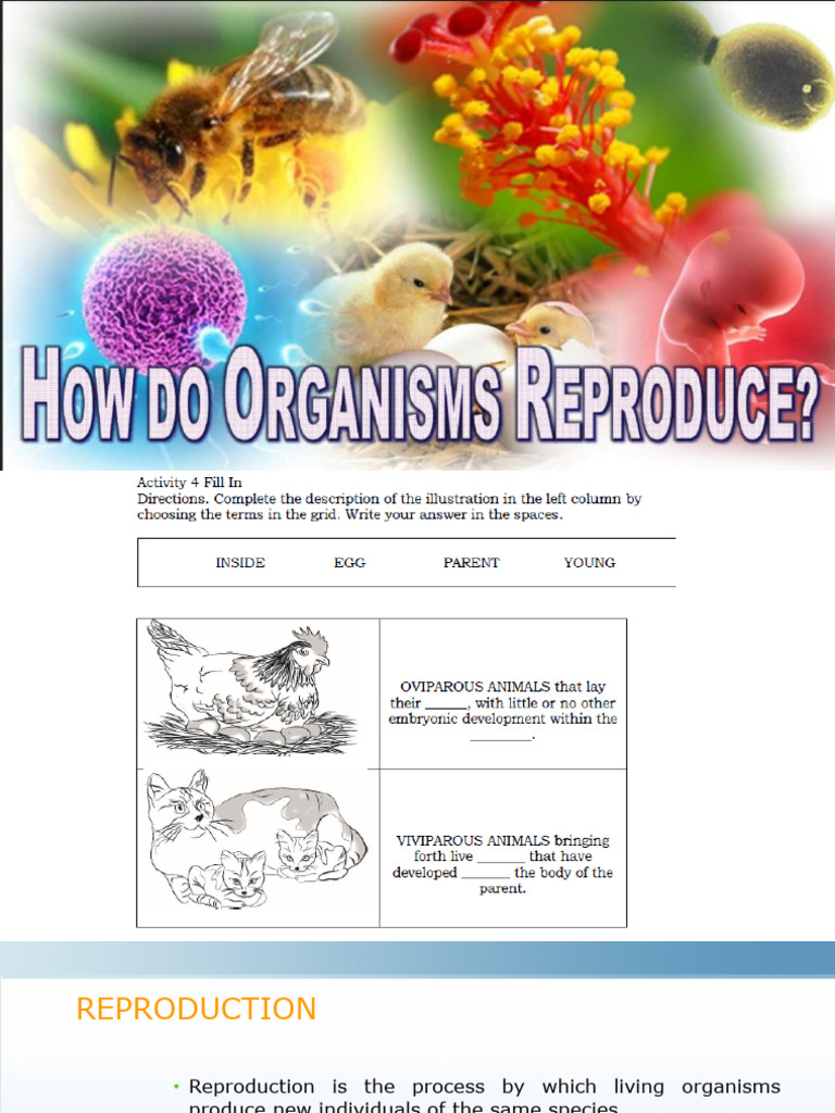 ELS-Q2L3 | PDF | Sexual Reproduction | Reproduction