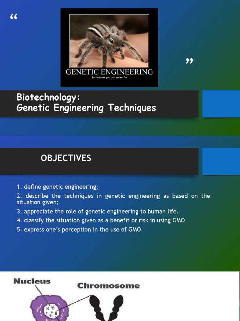 Els q2l4 Genetic Engineering | PDF | Cloning | Genetically Modified Organism