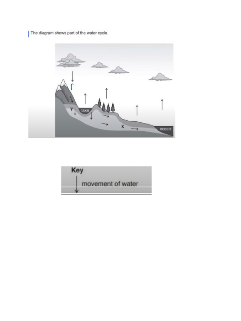 worksheet EM UNIT 4 WITHOUT ANSWERS | PDF