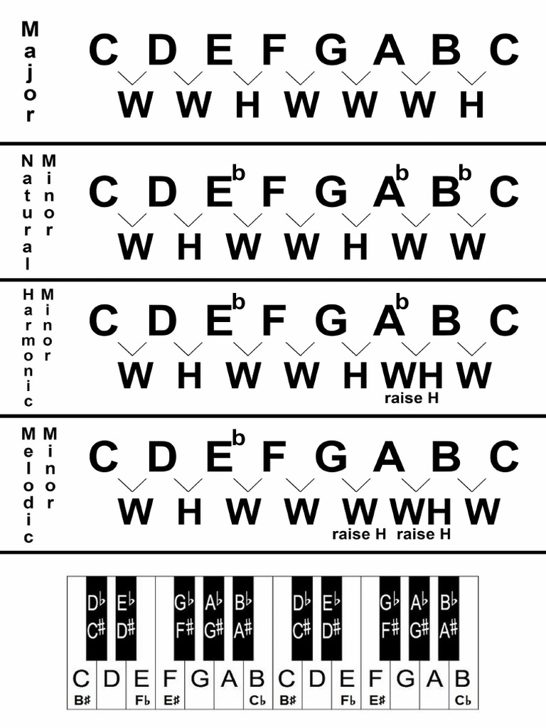 Minor and Majors | PDF