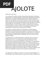 Ciclo de Vida del Ajolote | PDF